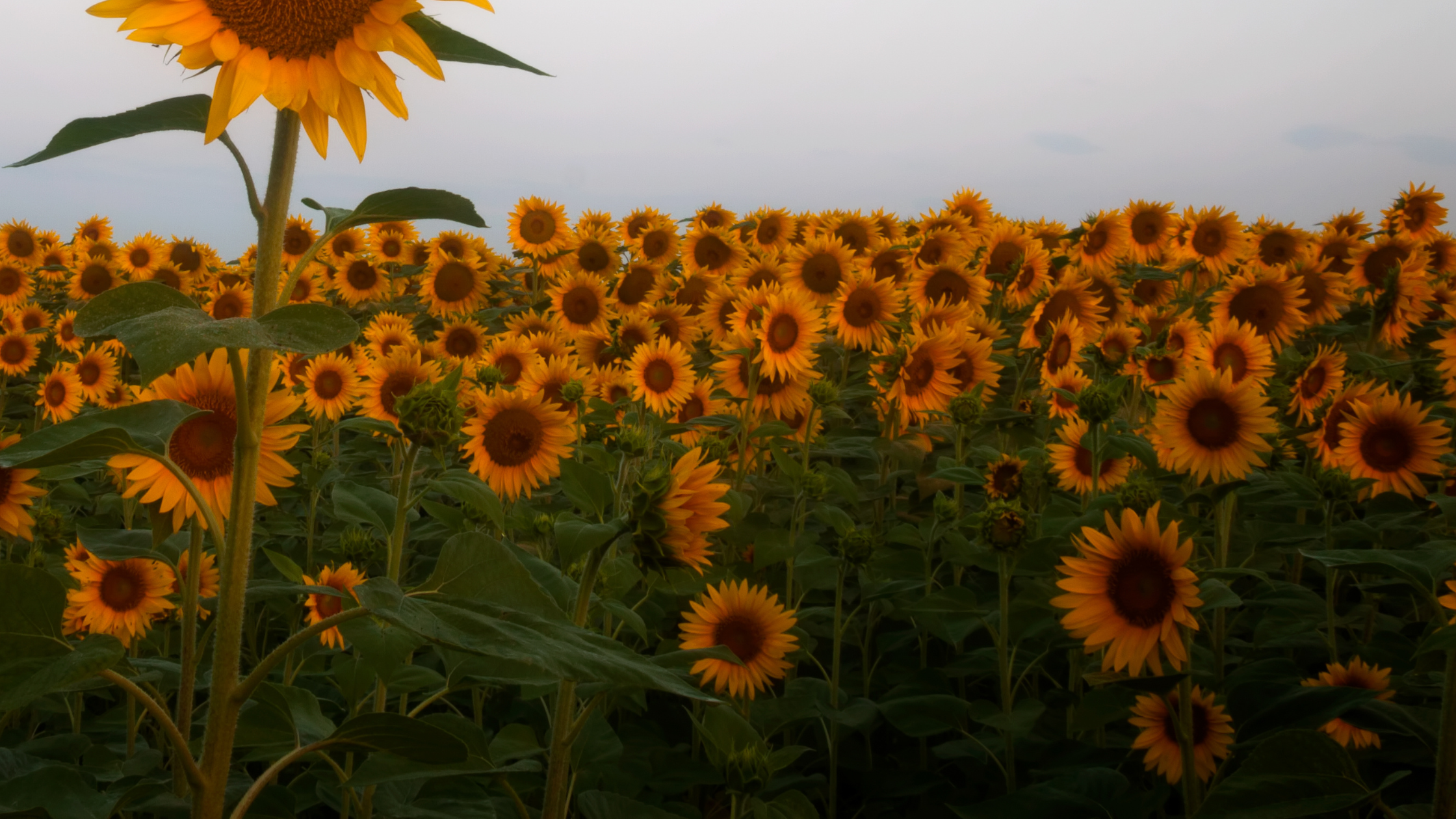 Overcoming Shame and Self-Blame: Breaking Free from Victim-Blaming Culture